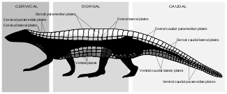 Dispatches From Turtle Island: Coahomasuchus Chathamensis, A New ...