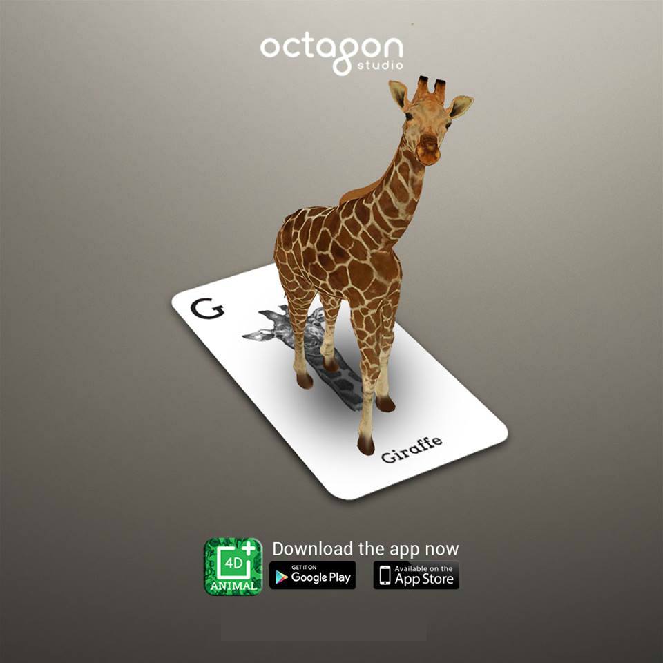 Animal 4D+ - PIKABOO BABY SHOP