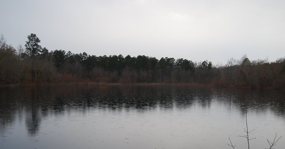 Green burial at Greenhaven Preserve, Columbia, SC