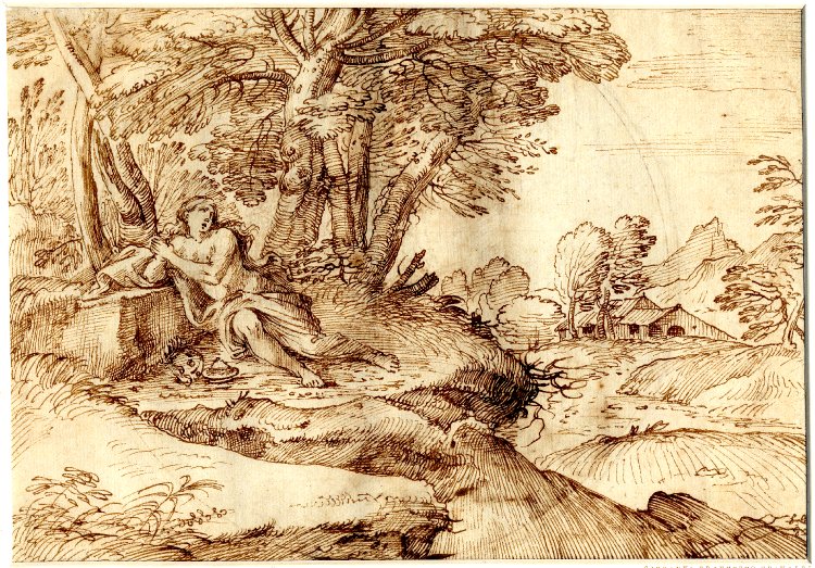Spencer Alley: Onofri, Grimaldi, Sacchi (17th-century drawings)