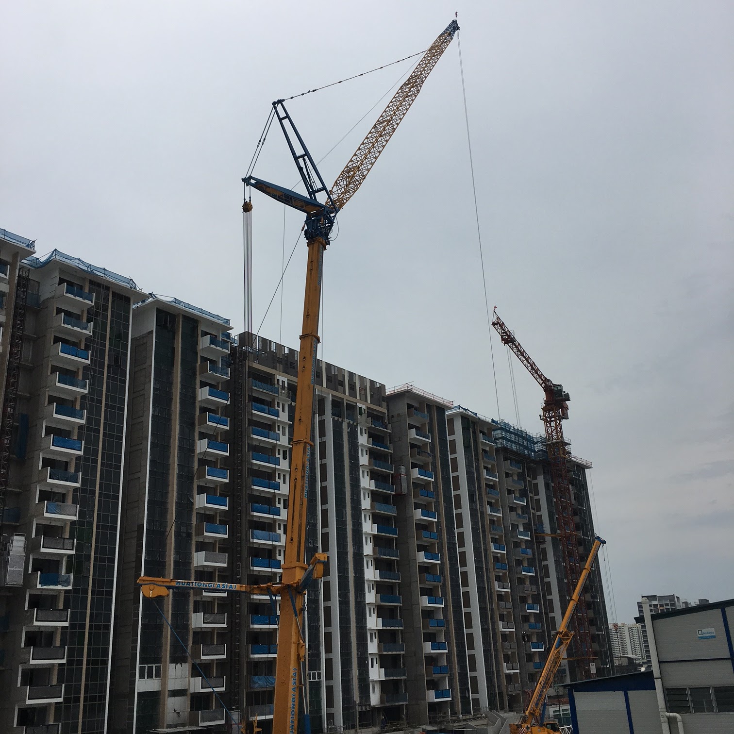 Liebherr Crane Operation in Singapore - General Topics - DHS Forum