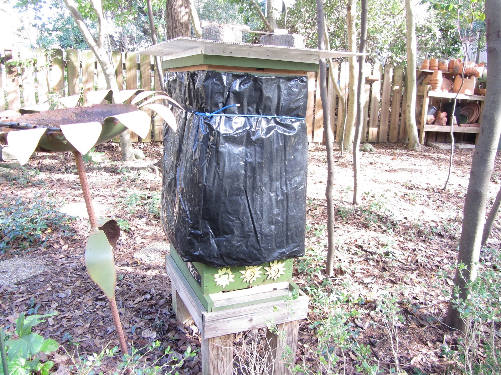 bee surprised: Arctic Oscillation & Bee Cozy Hive Wrap