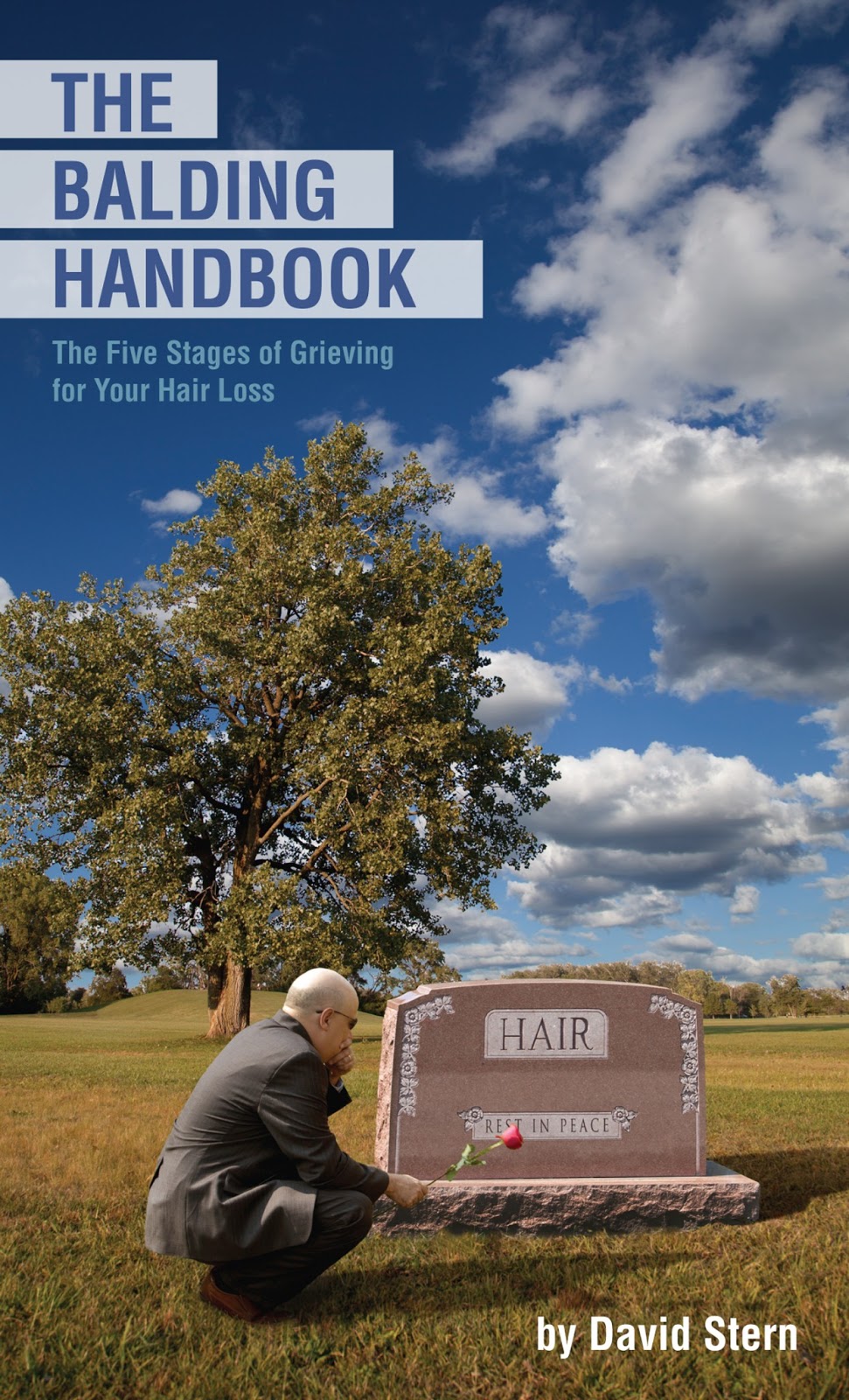 Some Love for "The Balding Handbook" | David Stern | Eckhartz Press