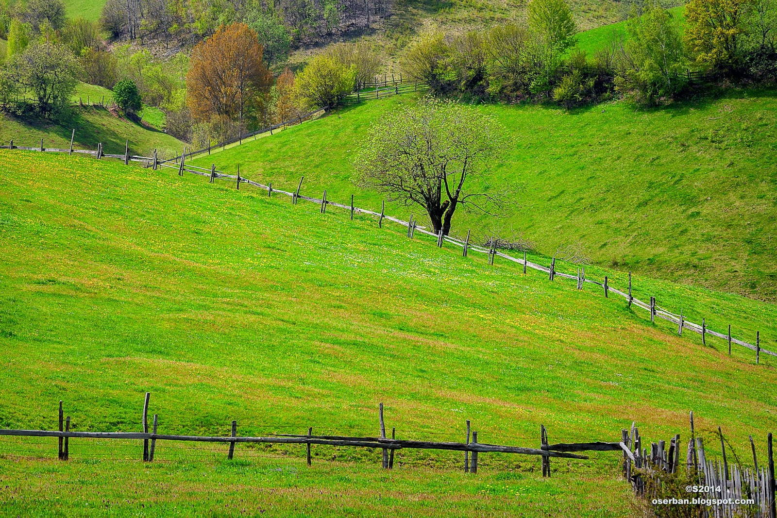 Octavian Serban: Somewhere in Romania...spring time...