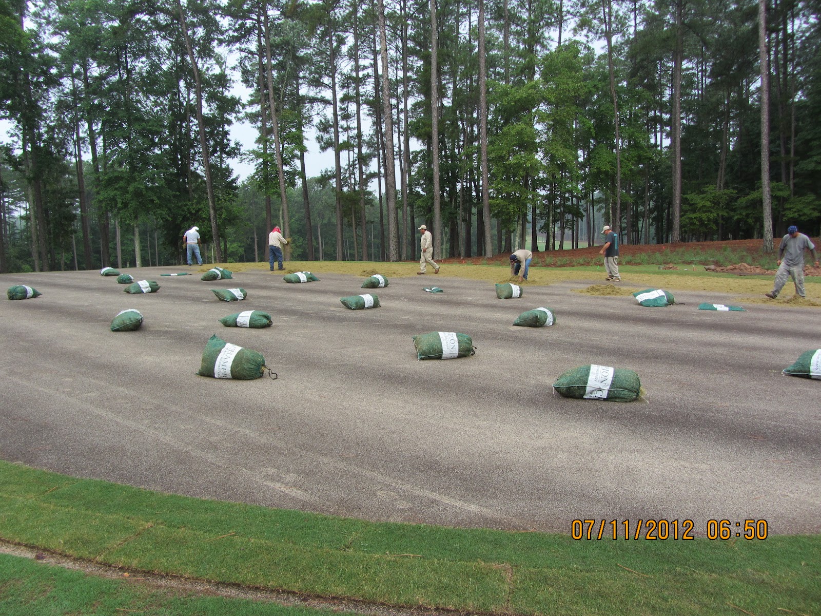 On Course at Old Chatham: What Everyone Ought to Know About Bermudagrass
