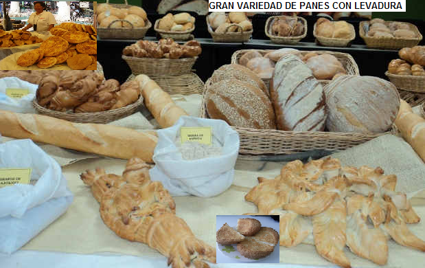 PANES CON LEVADURA - (PAN SIN MANTECA, PAN NEGRO, PAN CON MANTECA, PAN ...