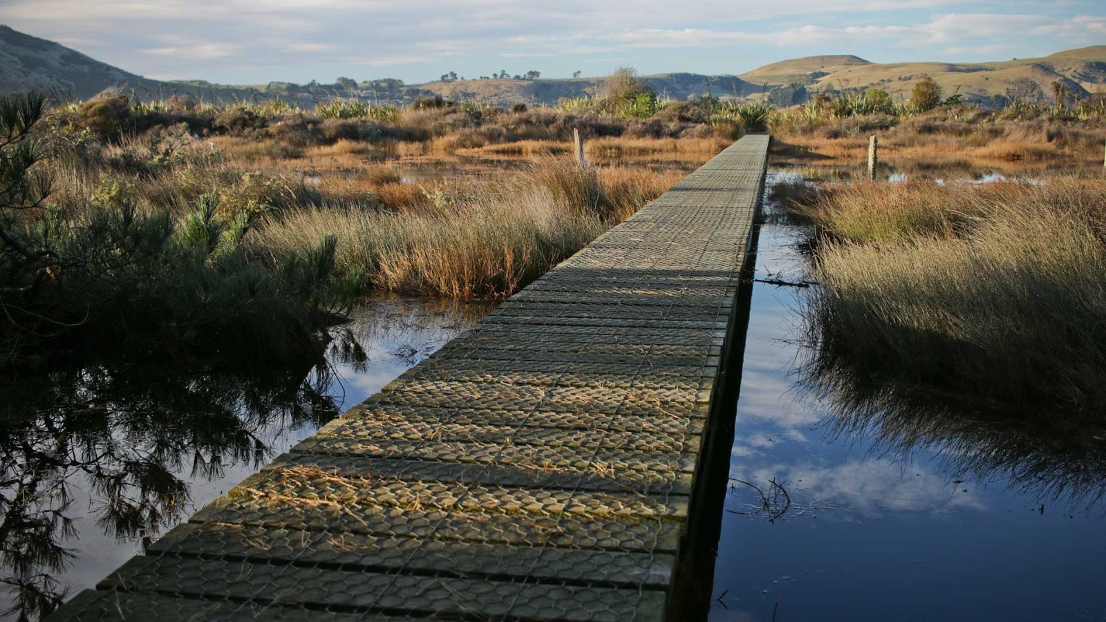 Tramping in the New Zealand backcountry: NZ Bush Adventures: You SHALL ...
