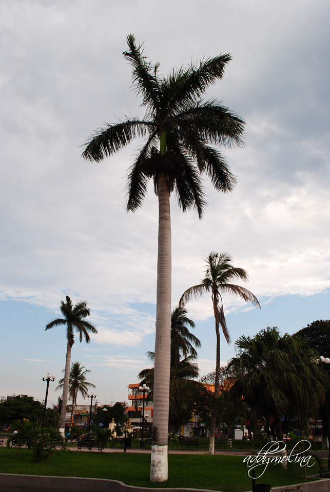 Cachivaches: Tintero de lo incierto: Ciudad Cardel, Veracruz (Fotografía)