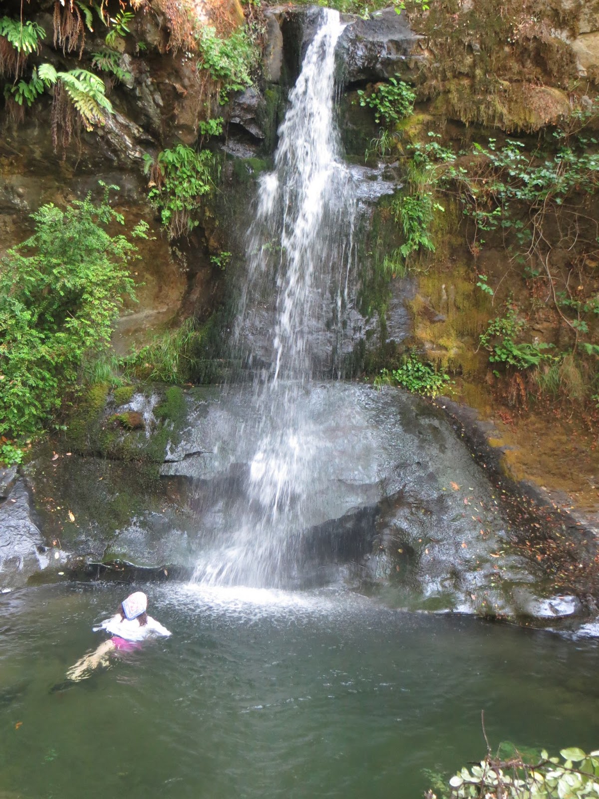 My Hikes and Paddles: Rogue River Trail: lodge to lodge luxury