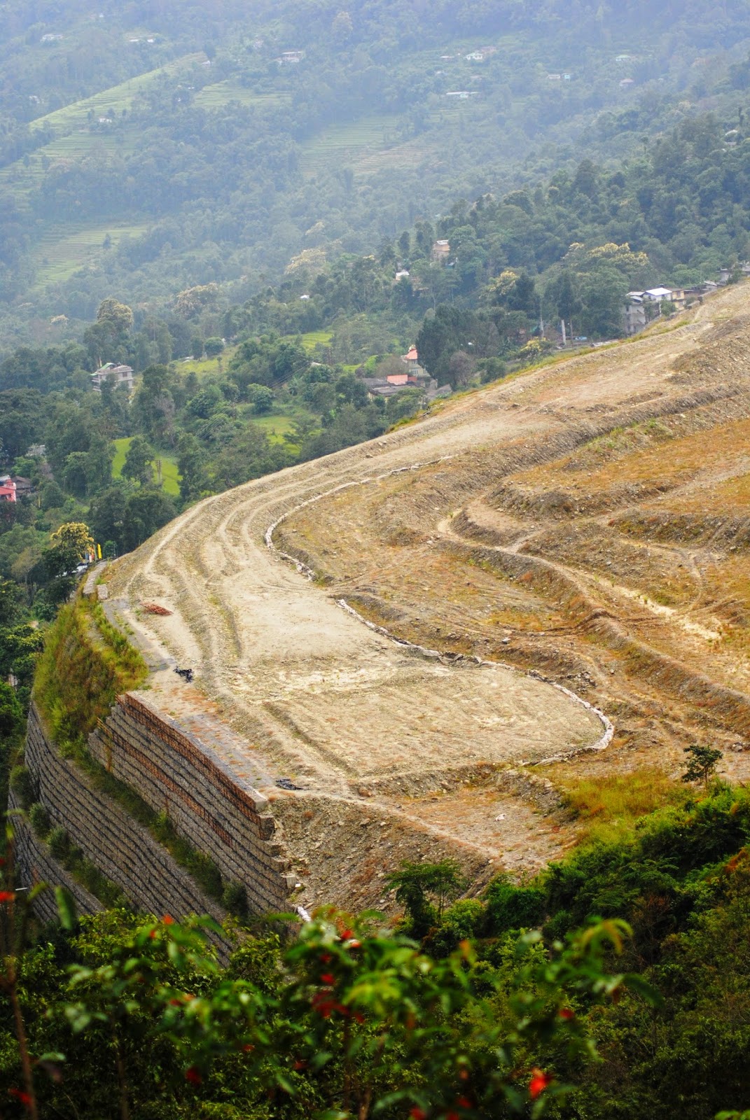 Professor P.Brain's blog: Up Up and Away in Pakyong (Sikkim)?