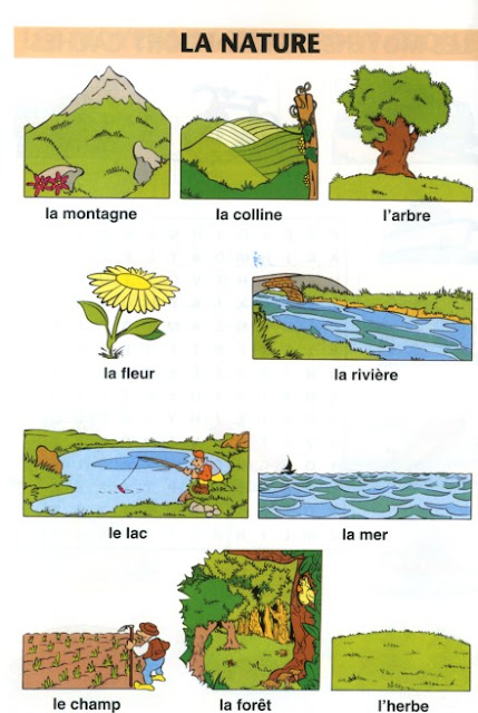 Le Coqui Hebdomadaire: Actividades de recuperación y repaso de francés ...