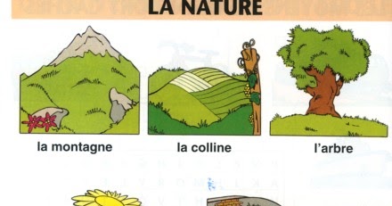 Le Coqui Hebdomadaire: Actividades de recuperación y repaso de francés ...