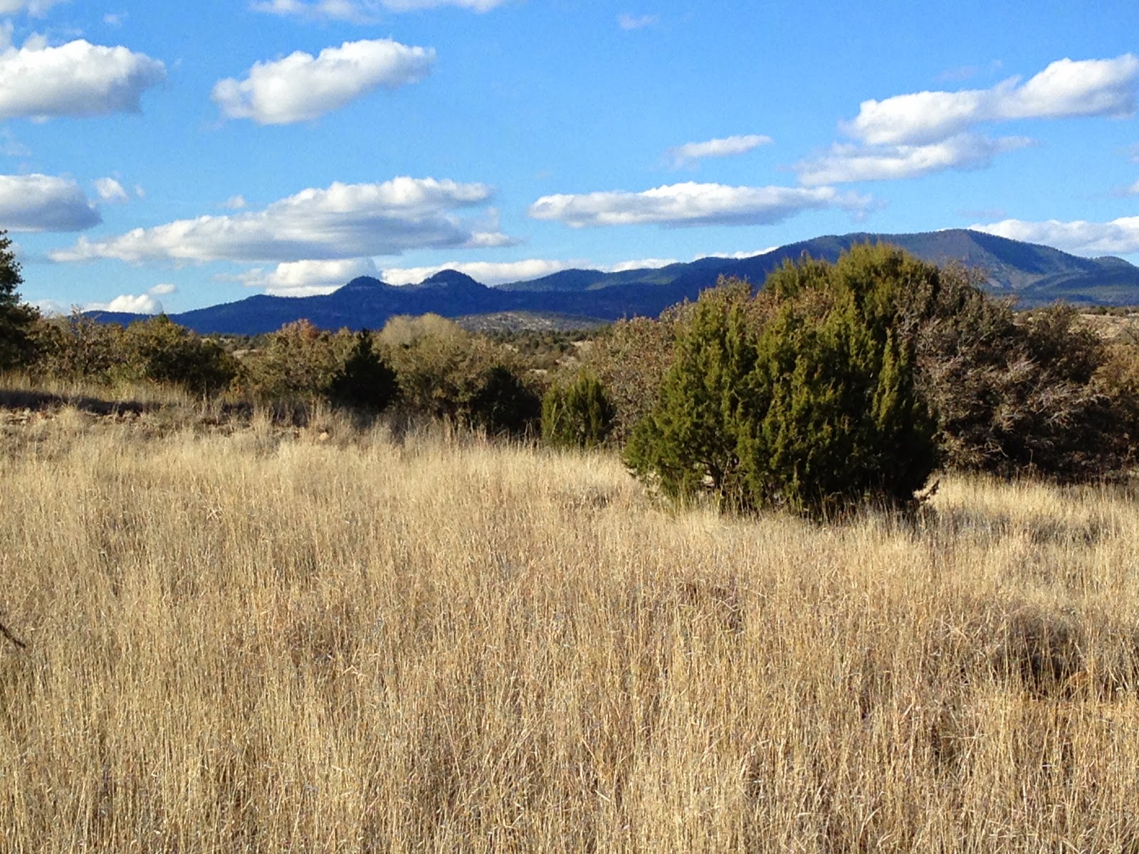 Southern New Mexico Explorer: Old Highway 260( FT 260) , Ft. Bayard ...