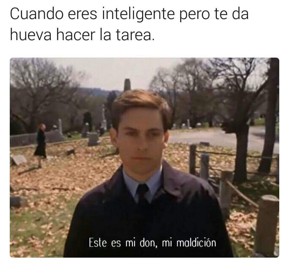 Download Kumpulan 74 Meme Es Mi Maldicion Terunik | Shop BBM