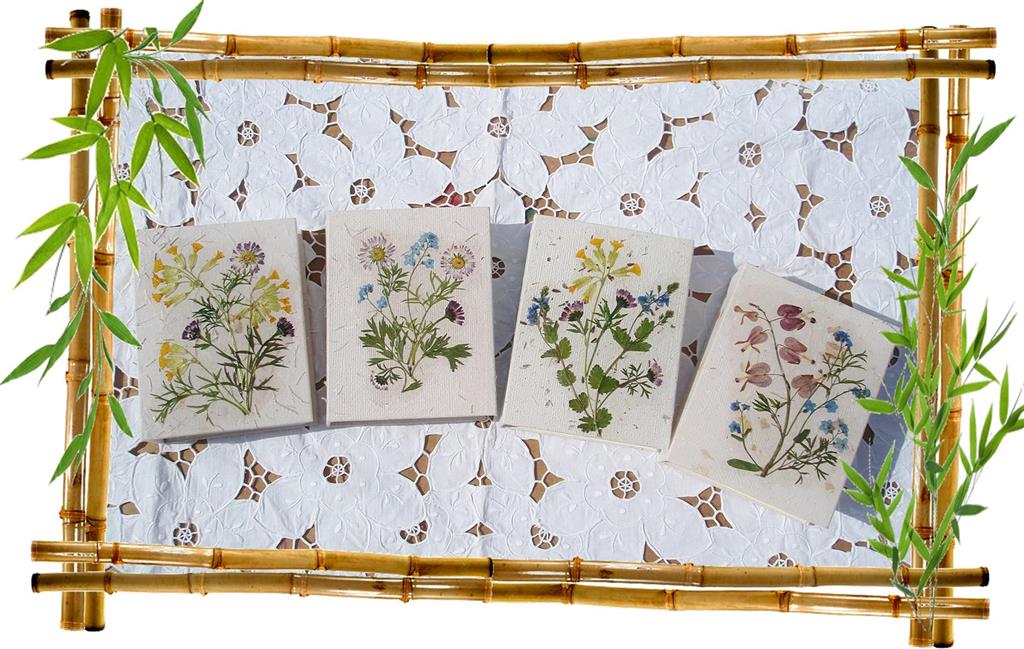 Les mains dans la tête: papier recyclé et albums photo