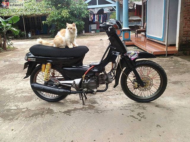 80 Foto Modifikasi Motor Astrea Grand Unik Jadul Terbaik