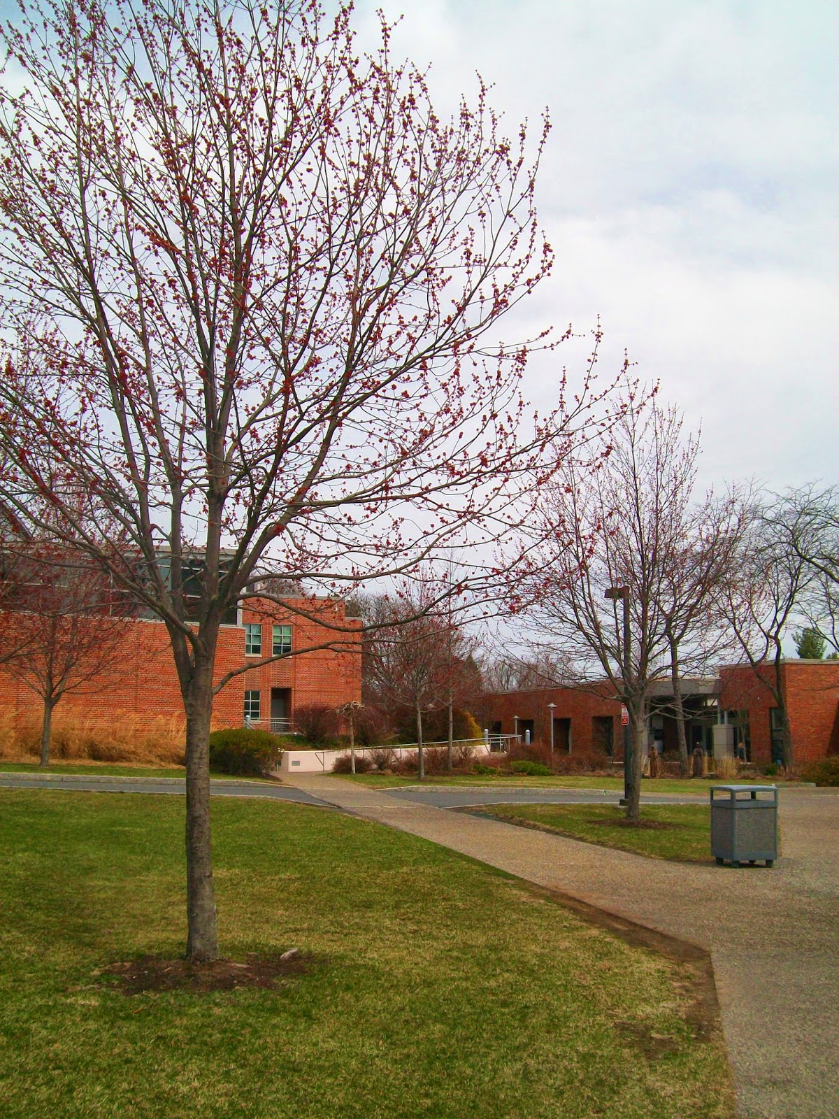 documentary project spr. 14: Documenting Winter turning to Spring