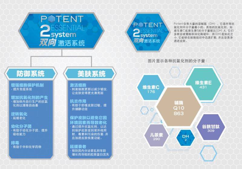 REDOXY RETURN LEGACY: POTENT ESSENTIAL 2 SYSTEM 双向激活系统