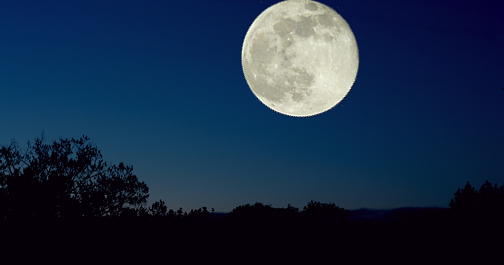 Beyond the Fields We Know: The Flower Moon of May