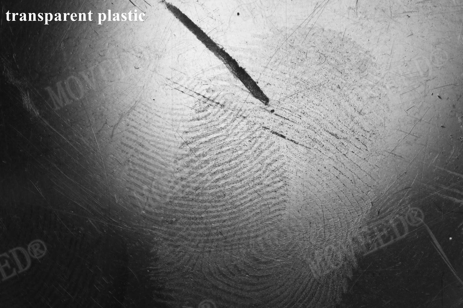 Forensic Photography System: MOVEED® Forensic IR-UV-ALS Photography ...