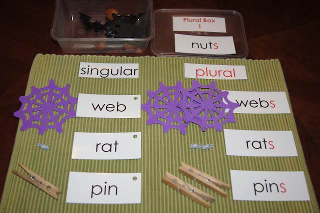 Plural Noun Object Boxes, Montessori Language & Grammar At Home ...