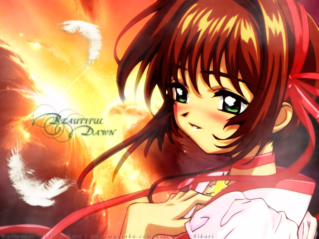 Sakura Wallpaper Anime Hentai Animeanimex