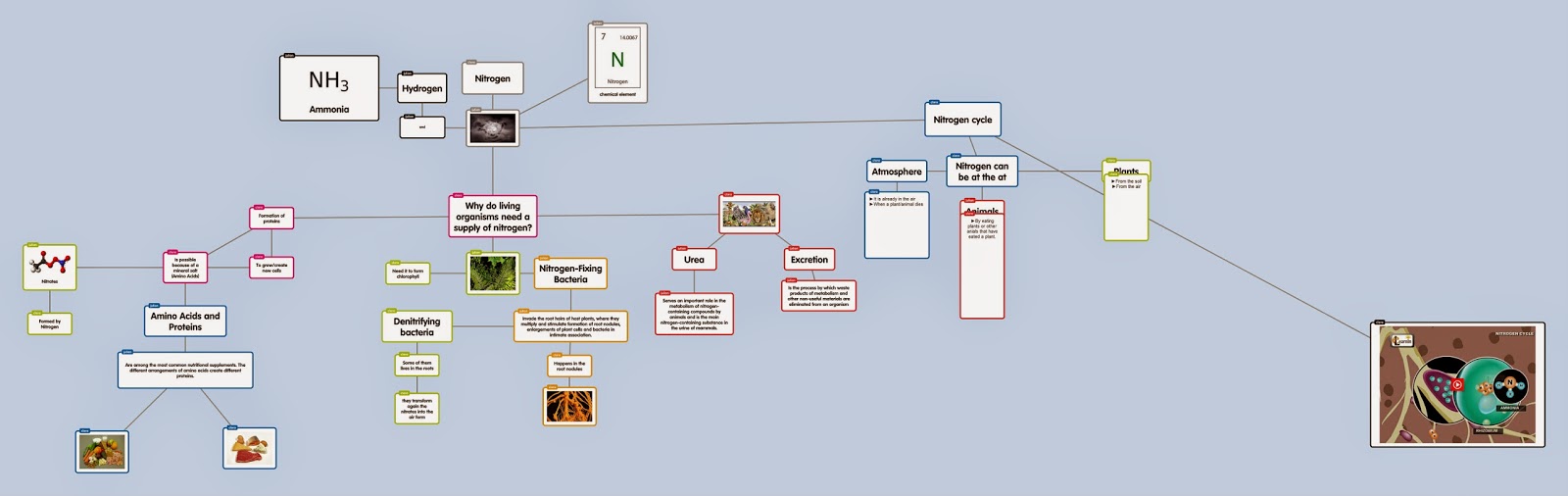 Orange Day School - Secondary - Science: 3rd year - Biology - Nitrogen ...