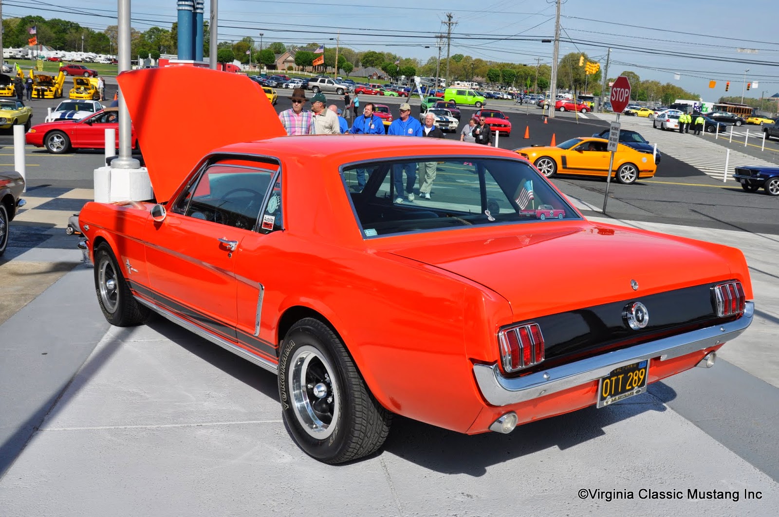 Virginia Classic Mustang Blog: 50th Anniversary Mustang Show at ...