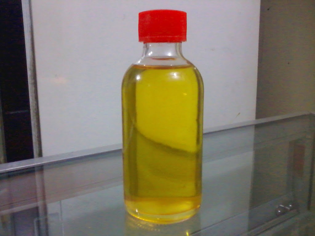 Rahasia dan Manfaat Minyak Bulus