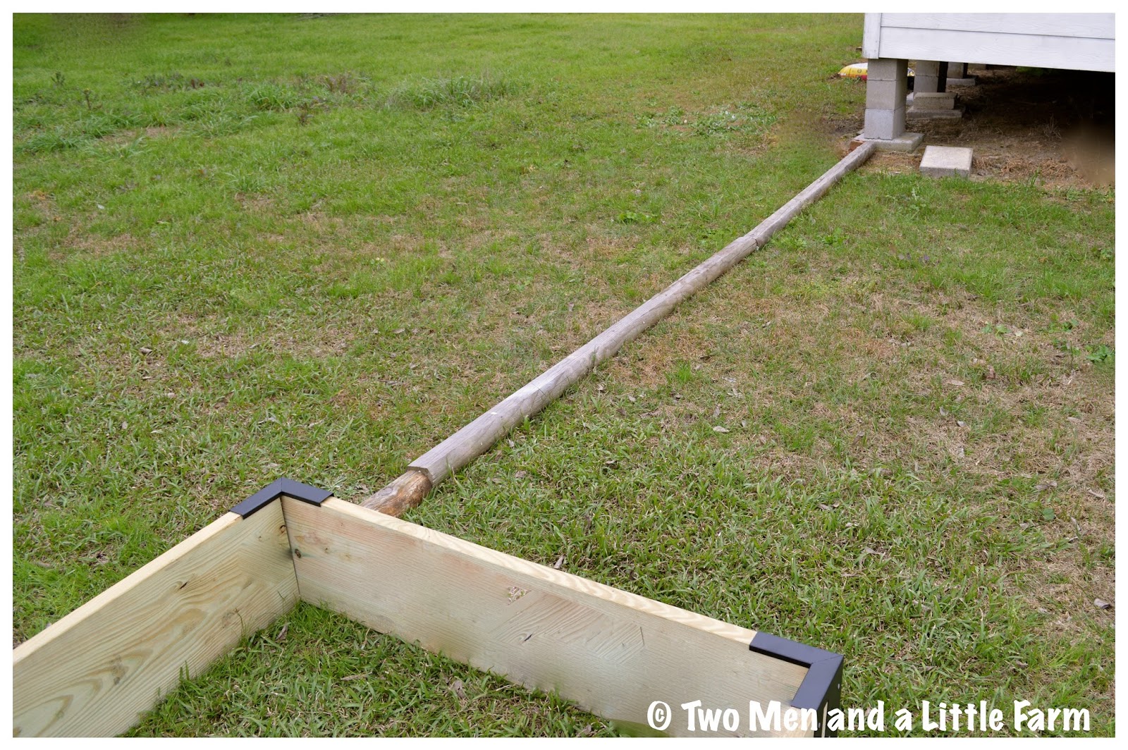 Two Men and a Little Farm: RAISED BED FRUIT TREES PART TWO