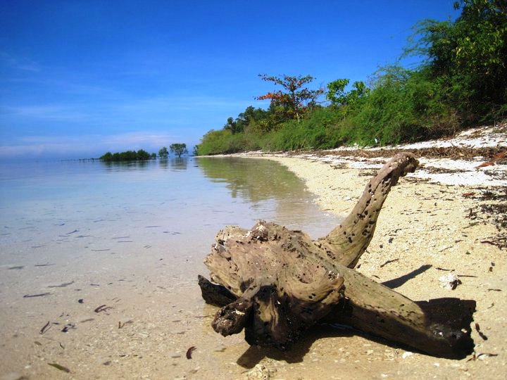 Islands in the Philippines: Magalawa Island, Palauig, Zambales