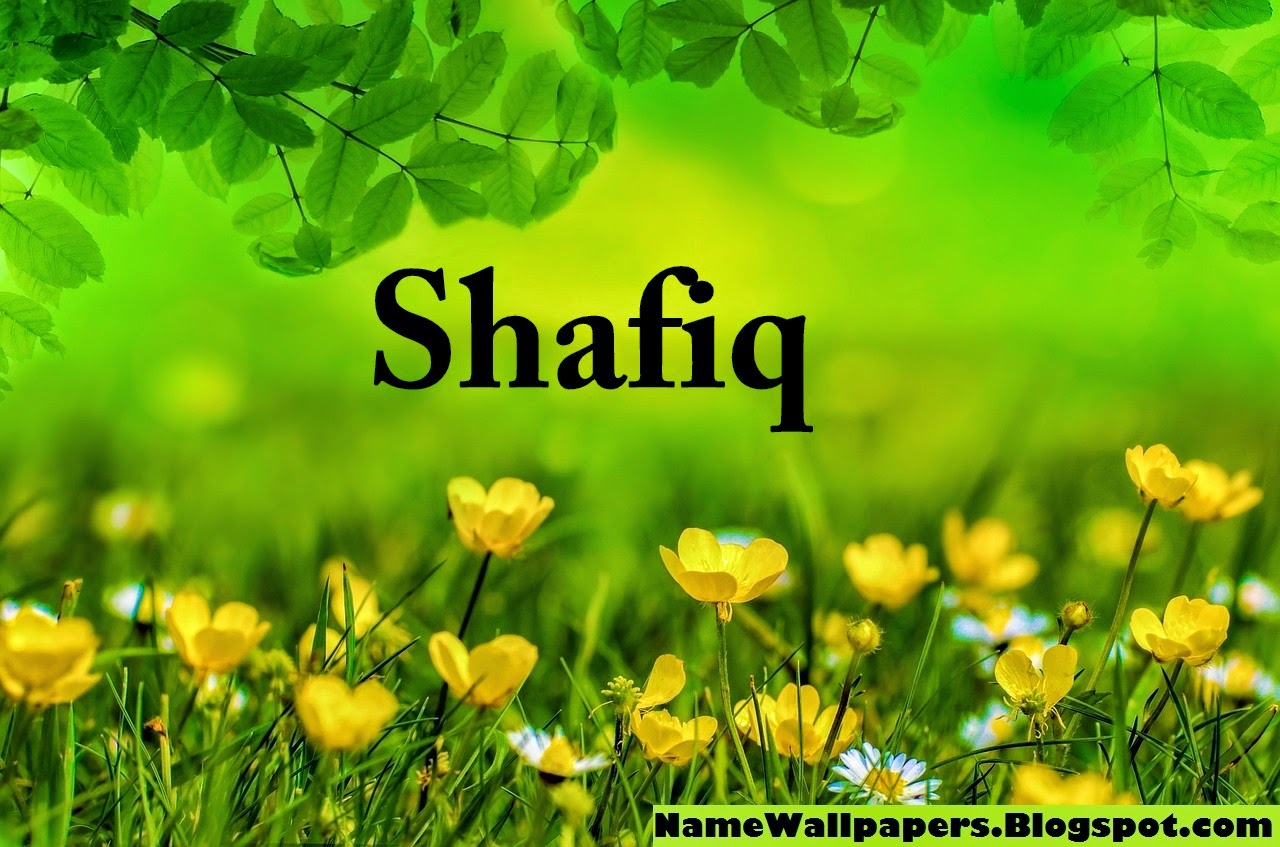 Shafiq Name Wallpapers Shafiq ~ Name Wallpaper Urdu Name Meaning Name ...