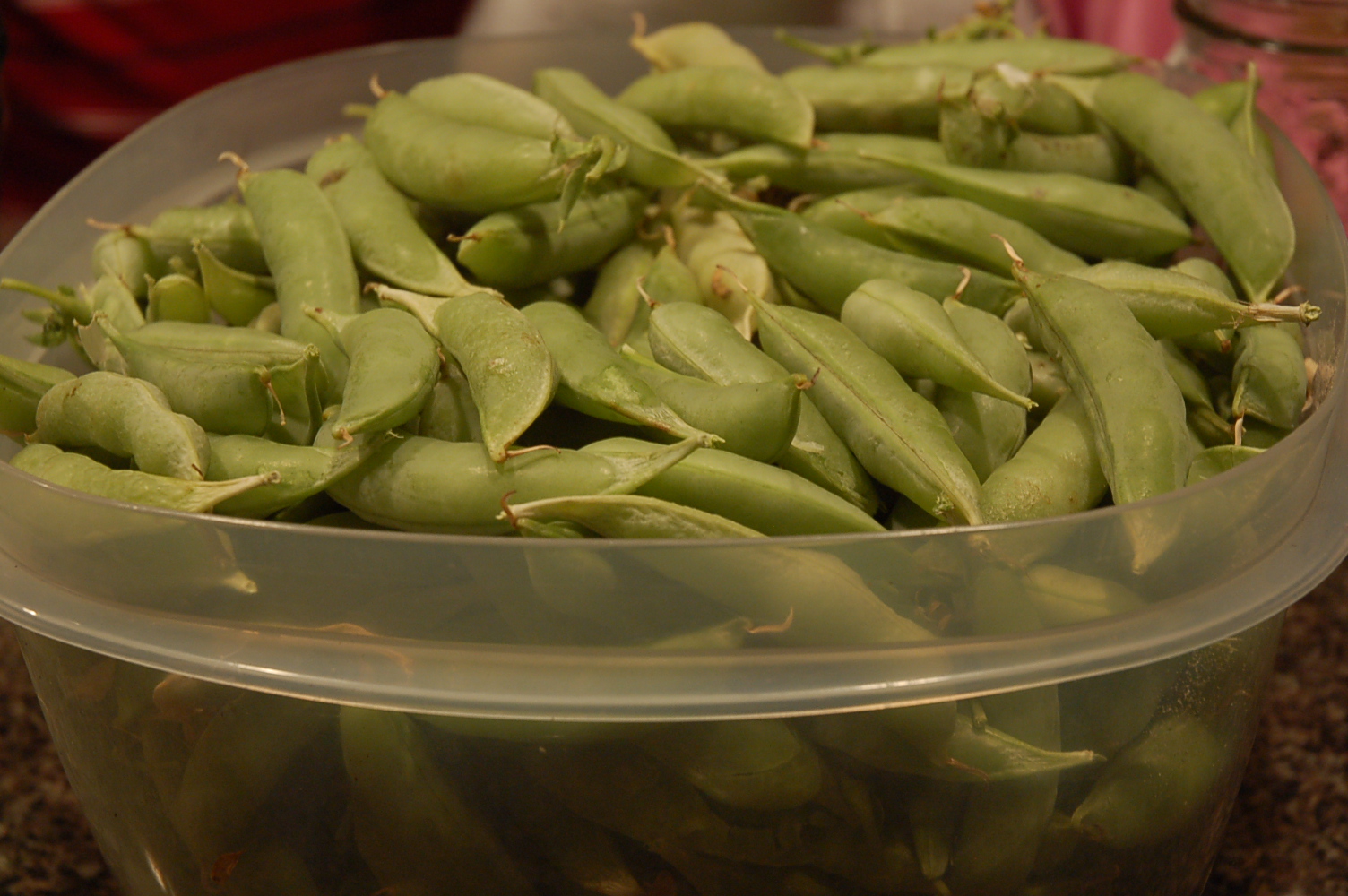What a Healthy Family Eats: Pea Shelling Saturday