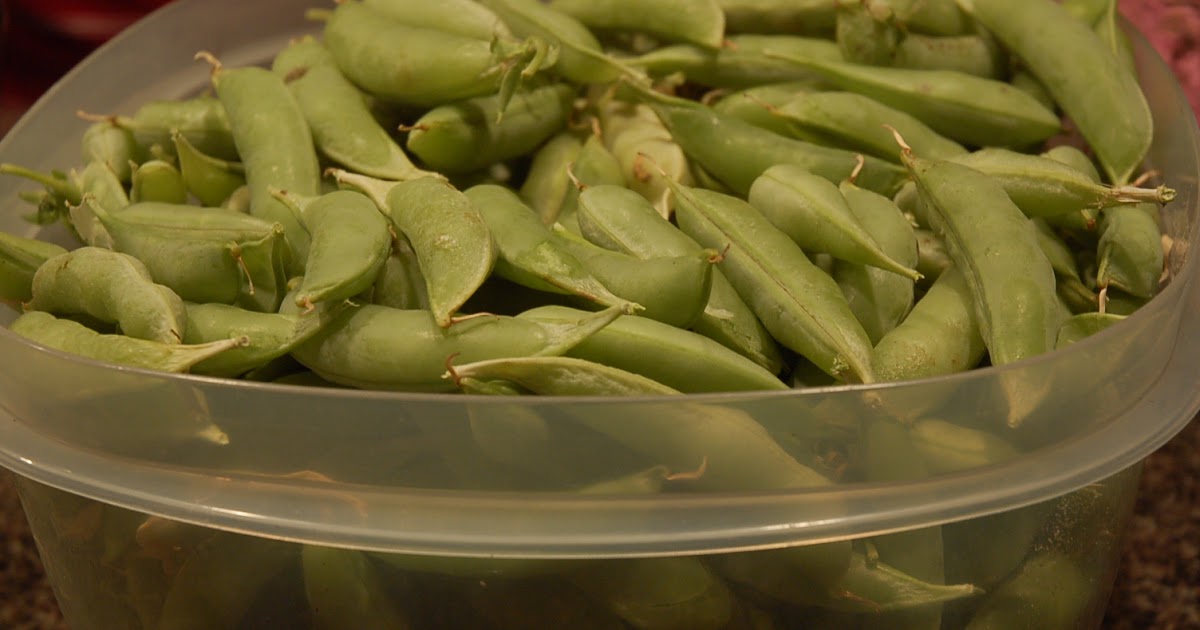 What a Healthy Family Eats: Pea Shelling Saturday