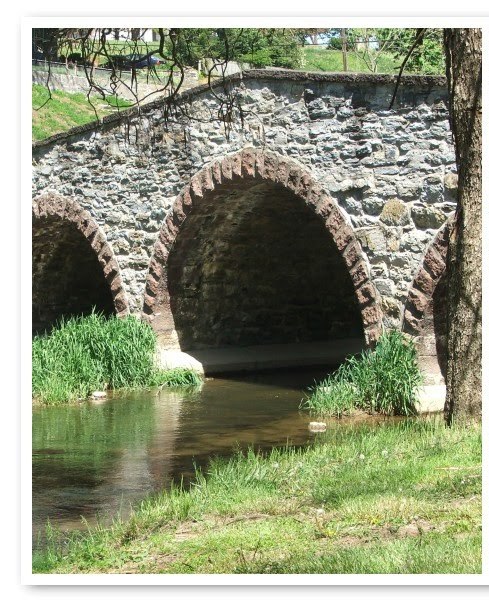 Sundry Dan K: Bridge Jumping