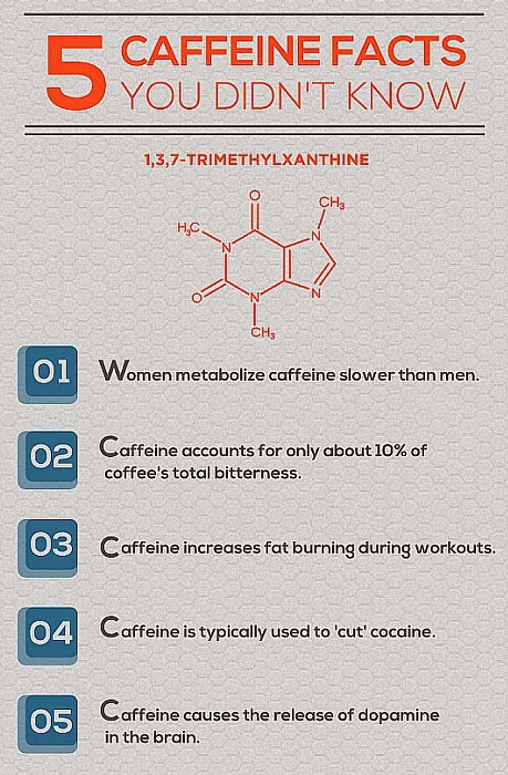 Life Begins After Coffee: Caffeine Facts