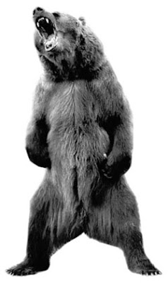 Angry Bear Standing | Funny Collection World