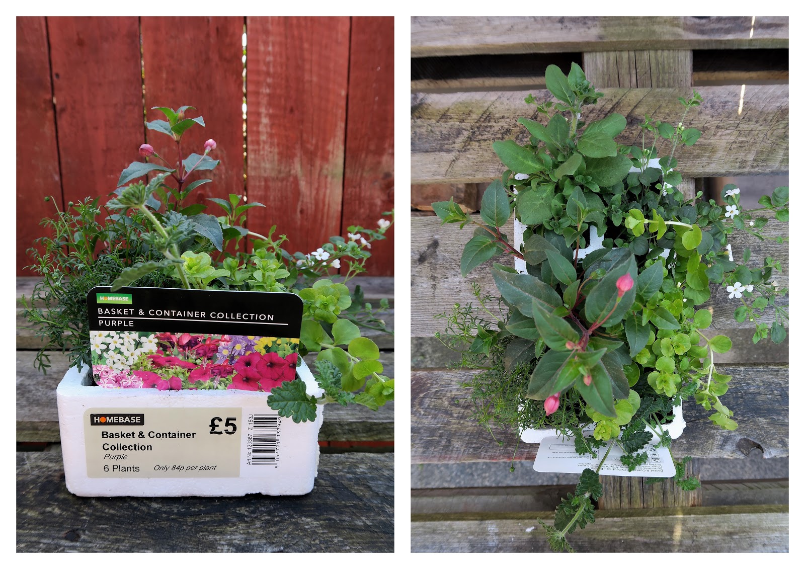 Upcycled bottle planters | mamaisdreaming.blogspot.co.uk