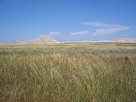 Les Écosystèmes terrestres: 3. Les prairies