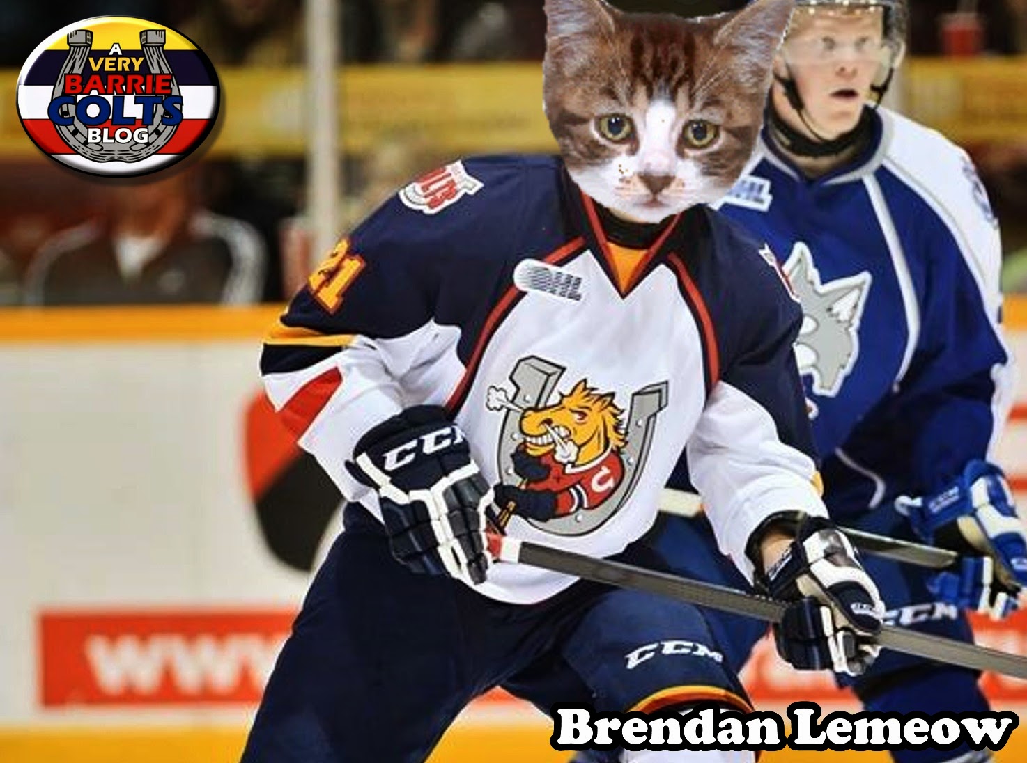The @OHLBarrieColts players as Cats. (Updated..Again)