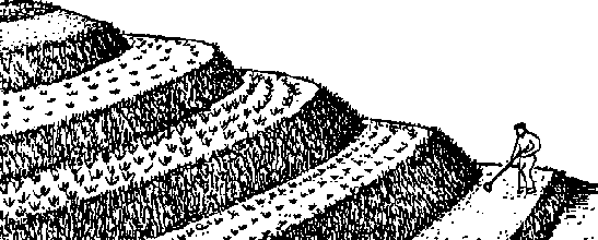 Terrace Farming Drawing
