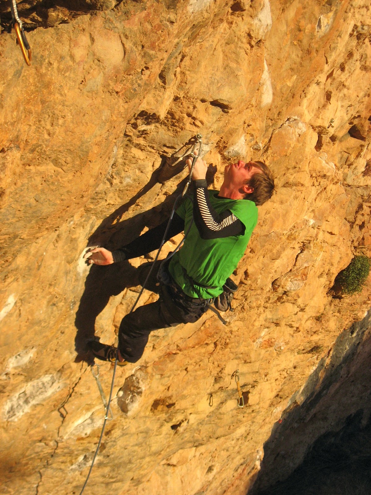 Grant Bateman on Tour