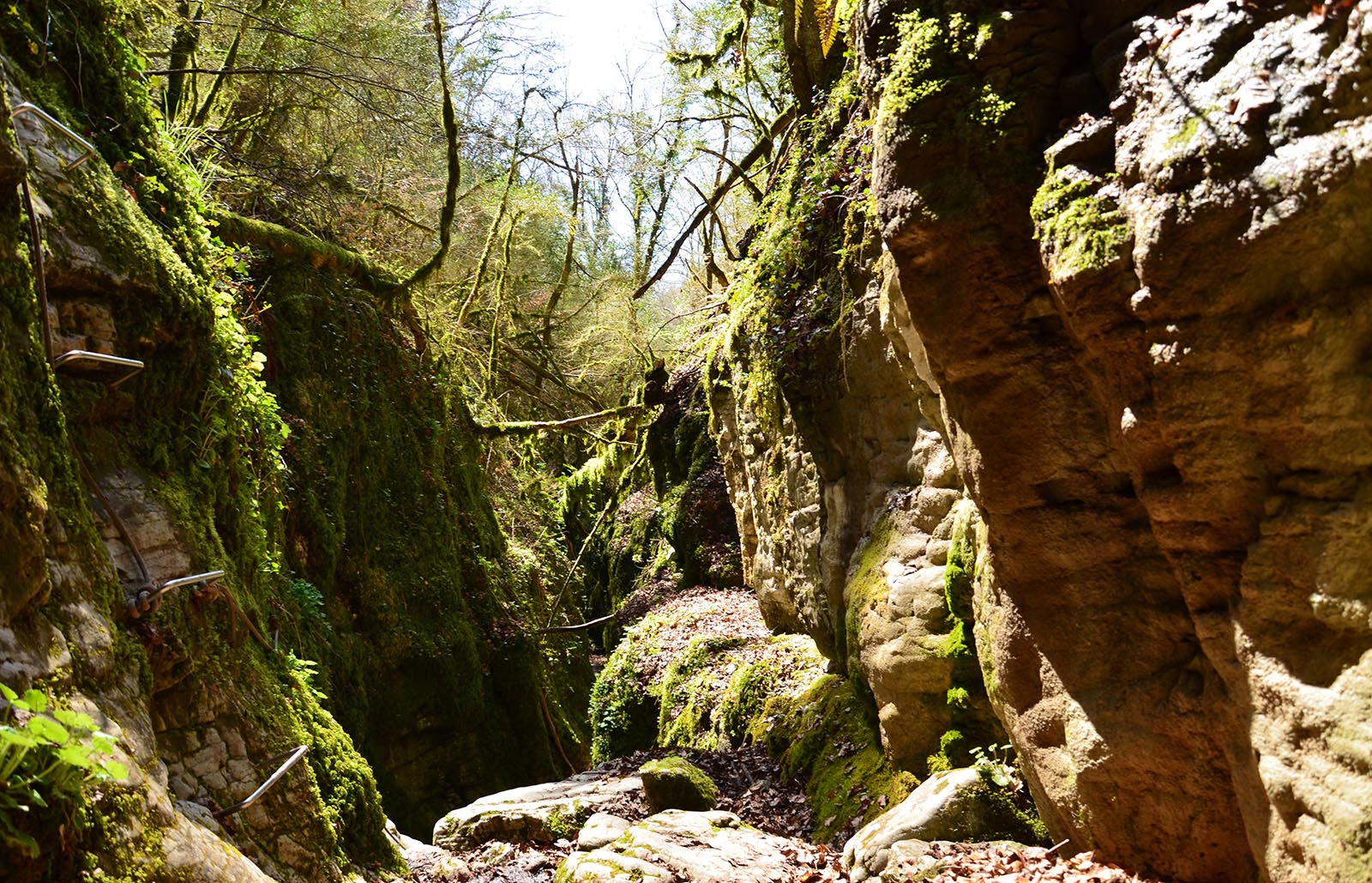DROMESCAPE - Randonnées en Drôme et Escapades photographiques: Le ...