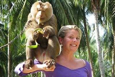 Namuang Jungle Trip Koh Samui Program Mini Adventure Tour