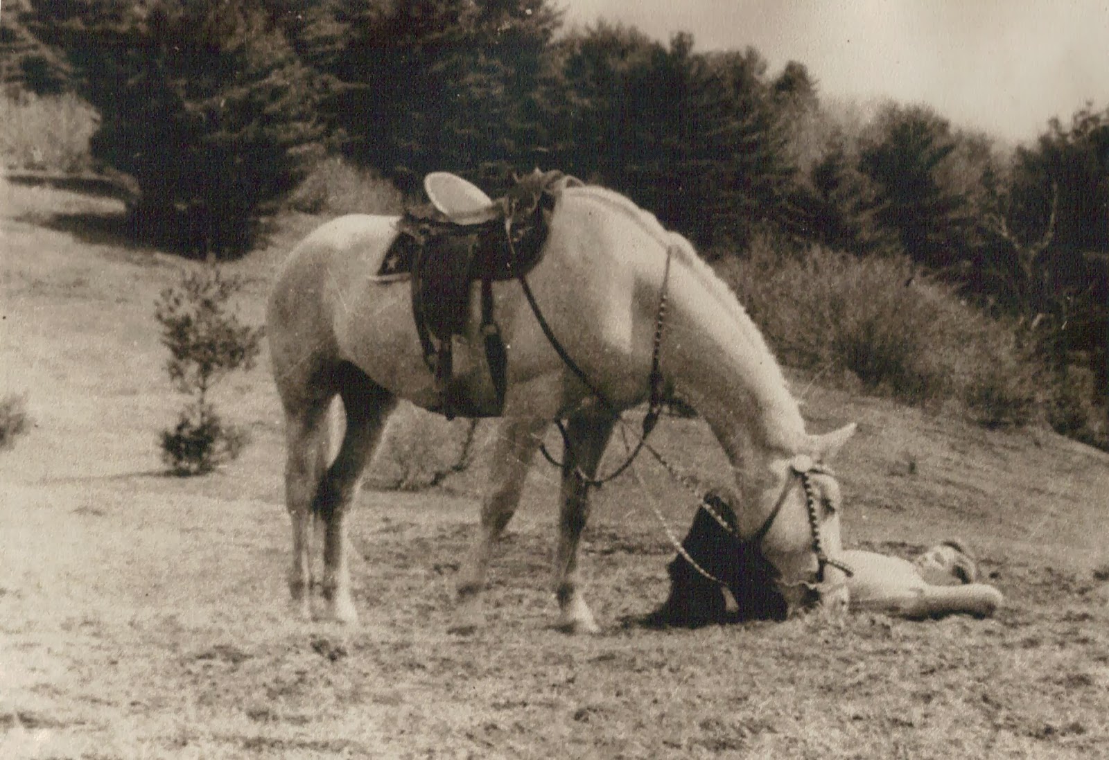 Family History Blog : January 2014