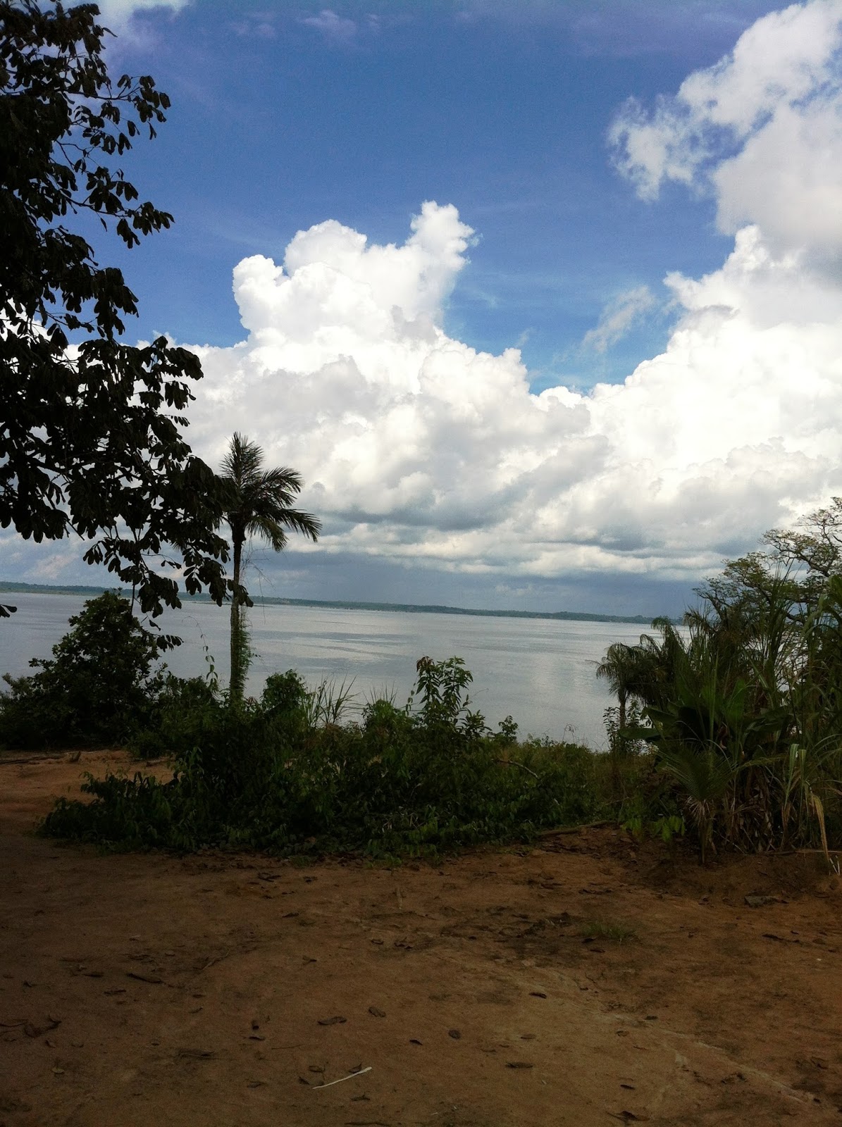 O cão que fuma...: Imagens do Rio Negro