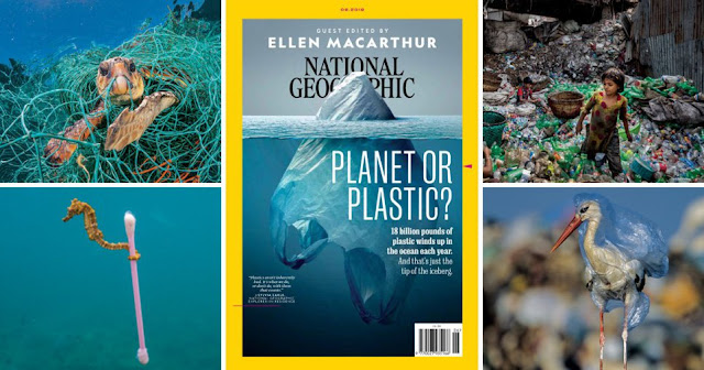 Planet or Plastic: Why is Plastic bad for the Ocean & the whole ...