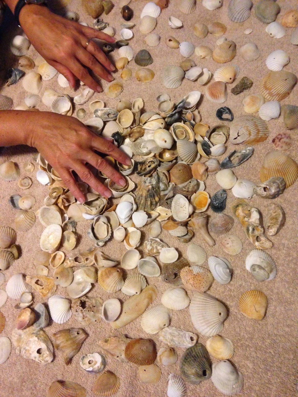 Operation: Old Elm: Seashell Crafting