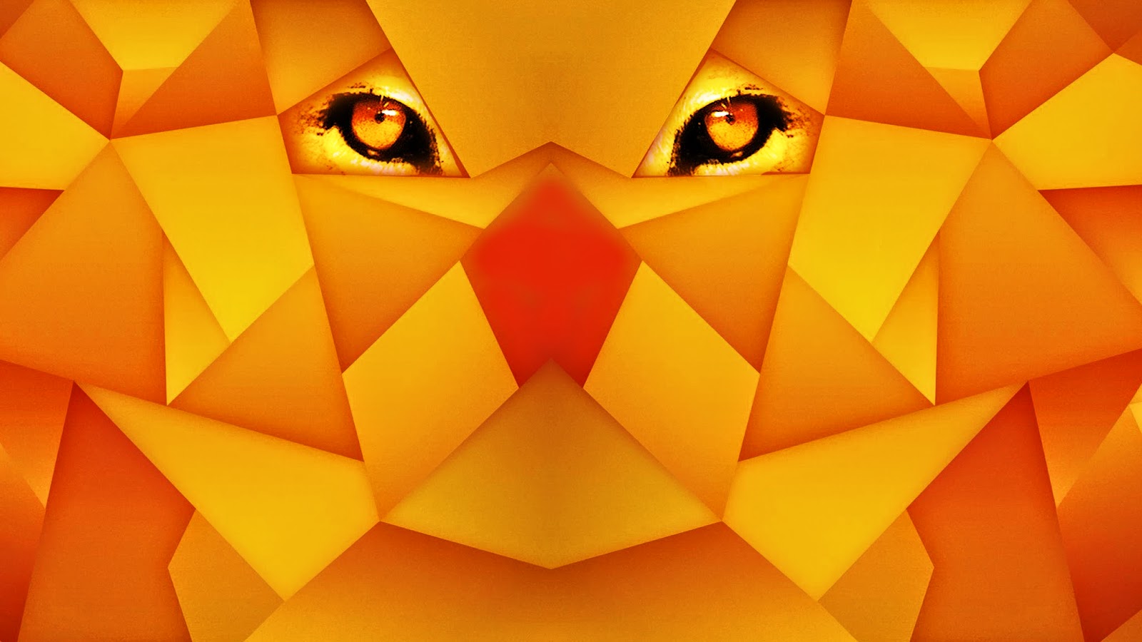 Windows 8 HD Wallpapers: Abstract HD Wallpapers Part 4