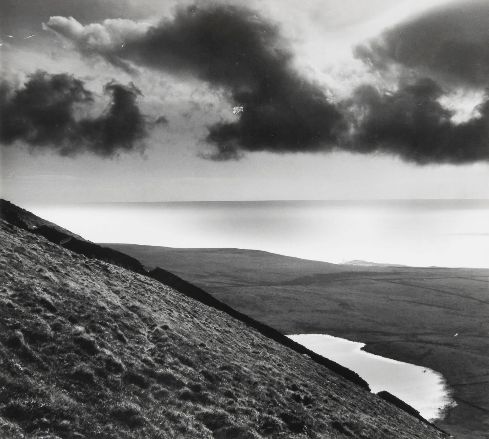 Lyssa humana: Photographer: Fay Godwin